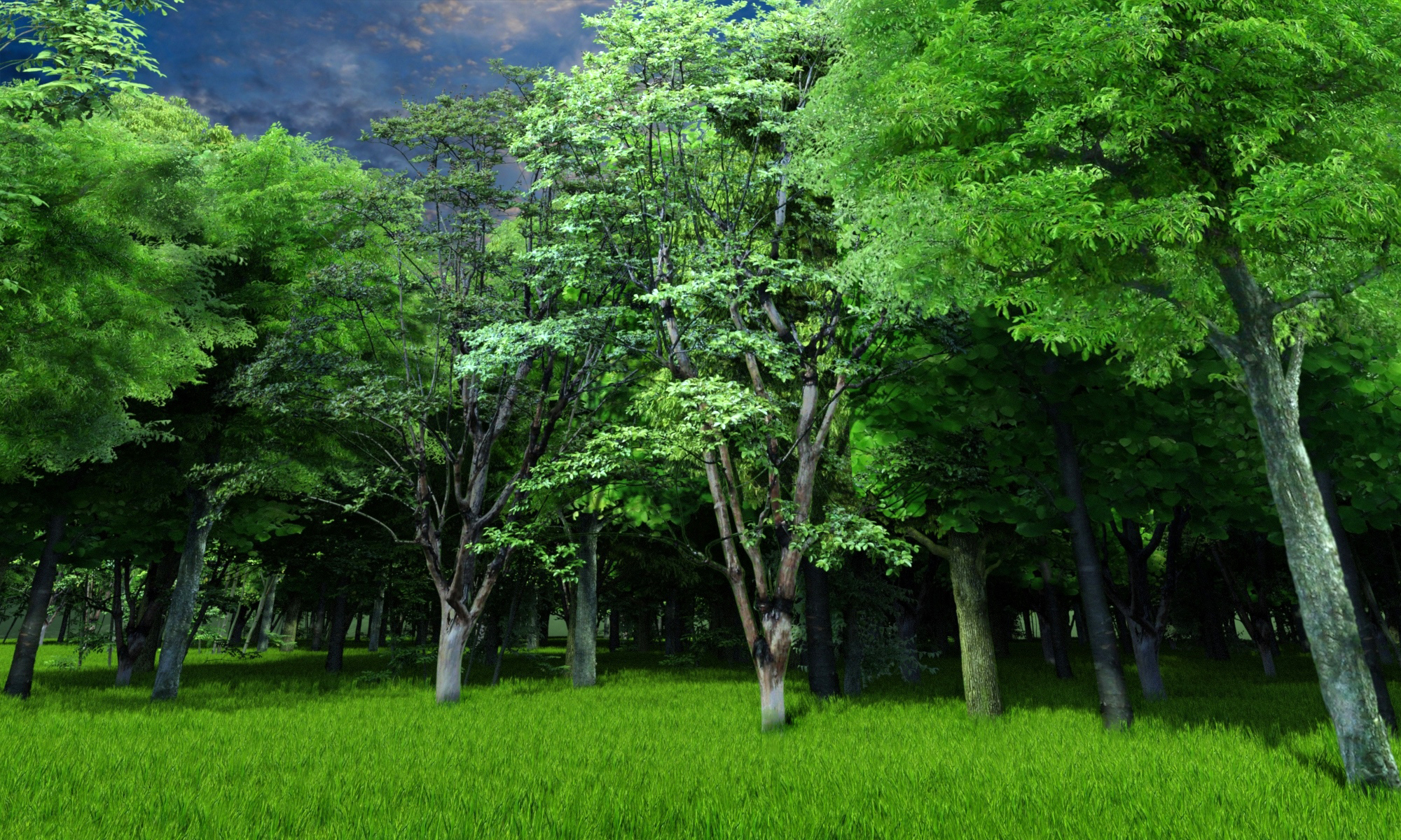 Forests Trees and Grass World Building Set | Daz 3D