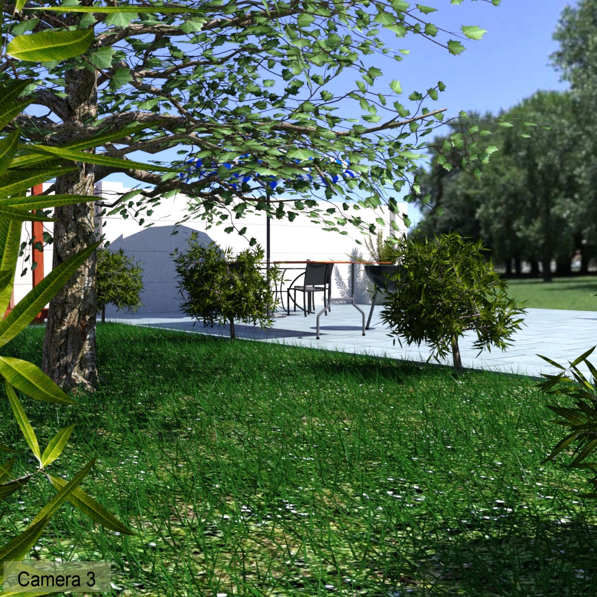 My Backyard | Daz 3D