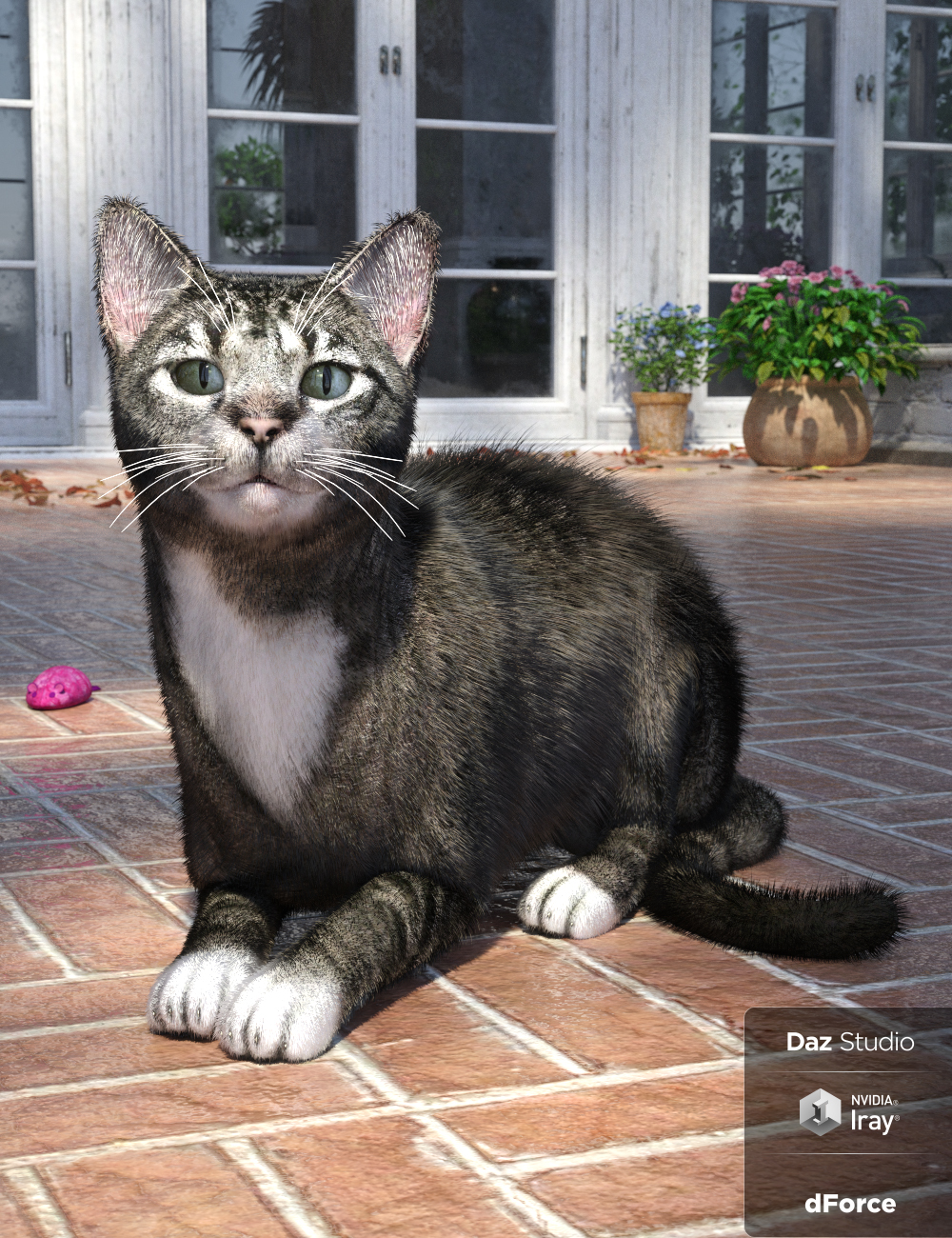 Daz House Cat with dForce Hair | Daz 3D