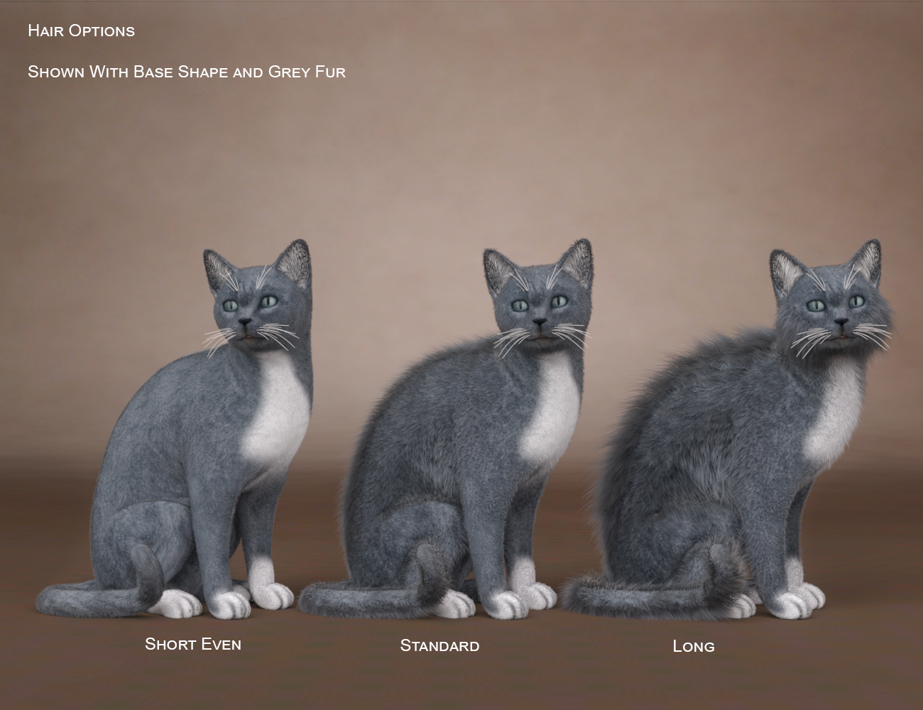 Daz House Cat with dForce Hair | Daz 3D
