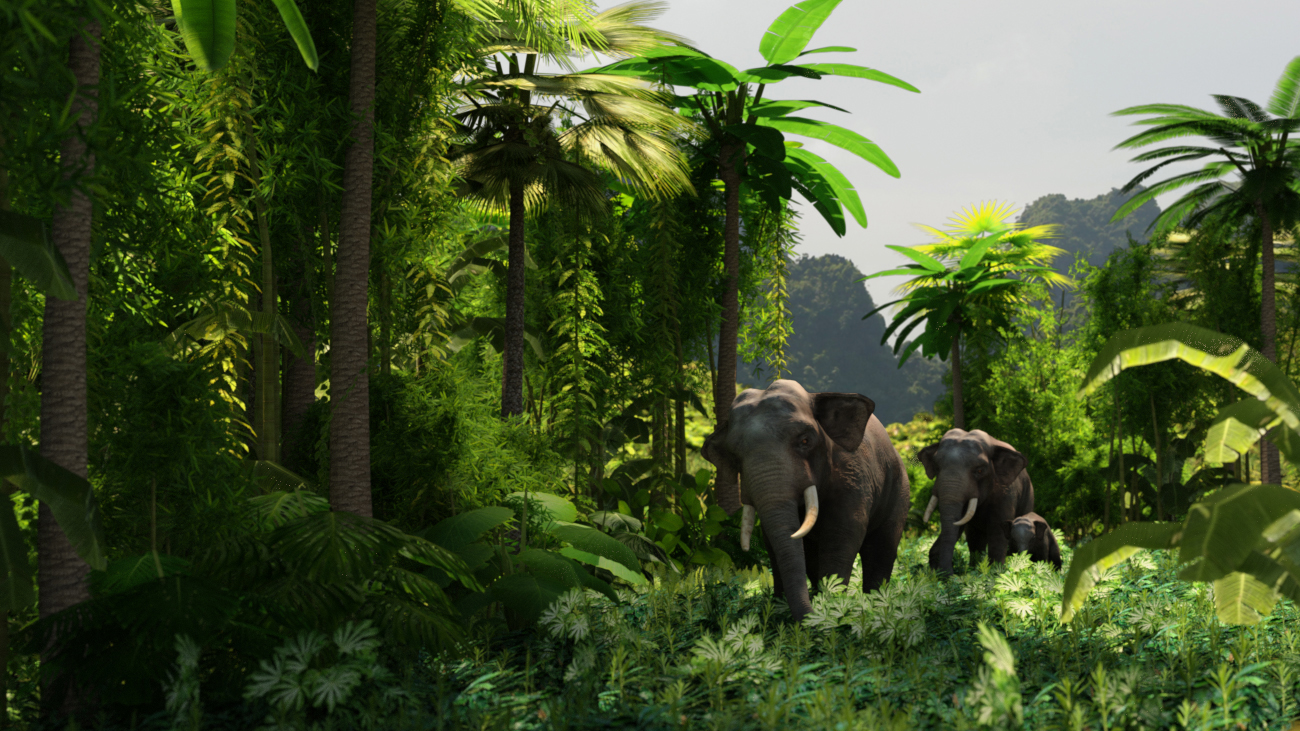 Lightweight Tropical Environment | Daz 3D
