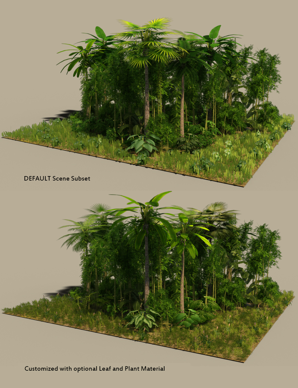 Lightweight Tropical Environment | Daz 3D