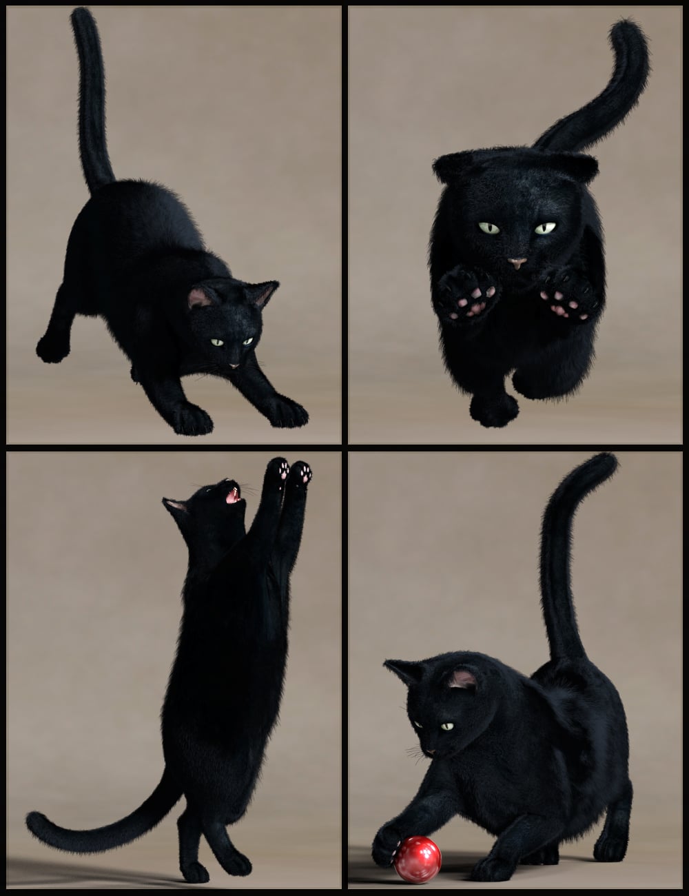 House Cattitude II | Daz 3D