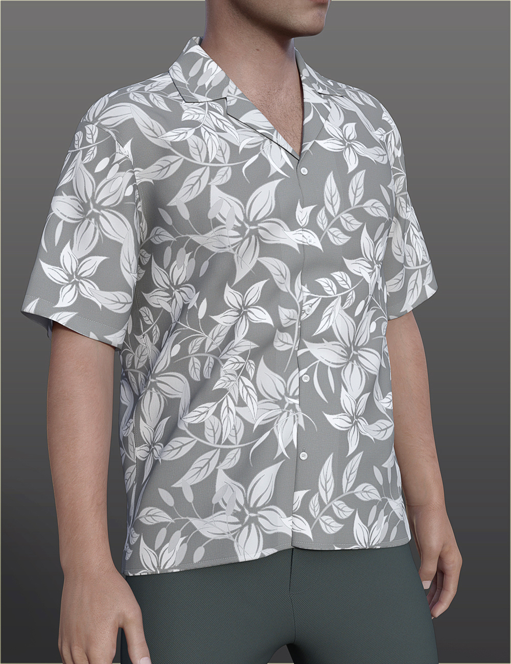 dForce H&C Hawaiian Shirts Outfit for Genesis 8 Male(s) | Daz 3D