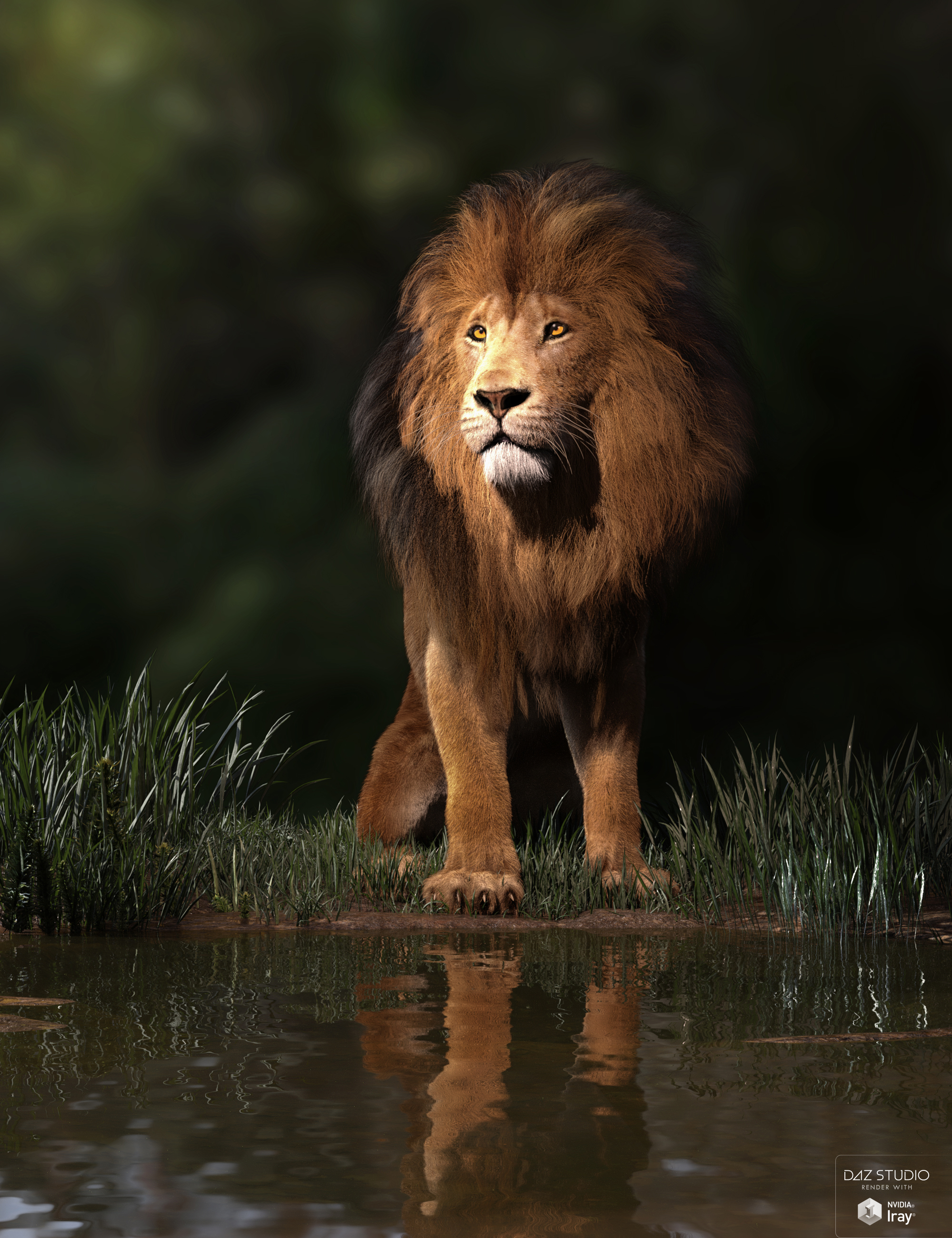 Felidae by AM - Lion | Daz 3D