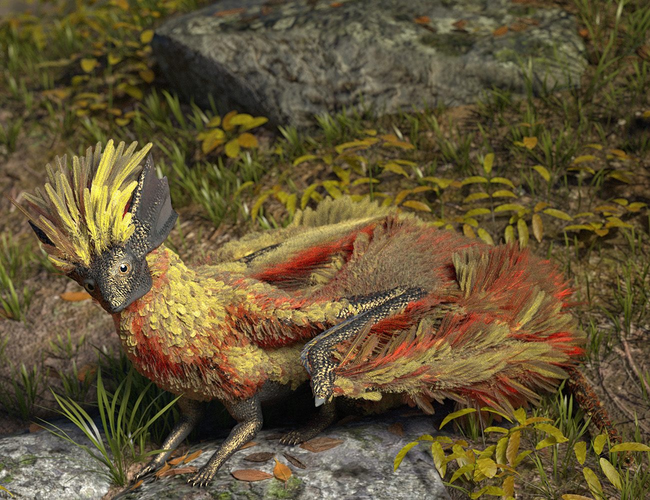 Oso Pixie Dragon for Daz Dragon 3 | Daz 3D