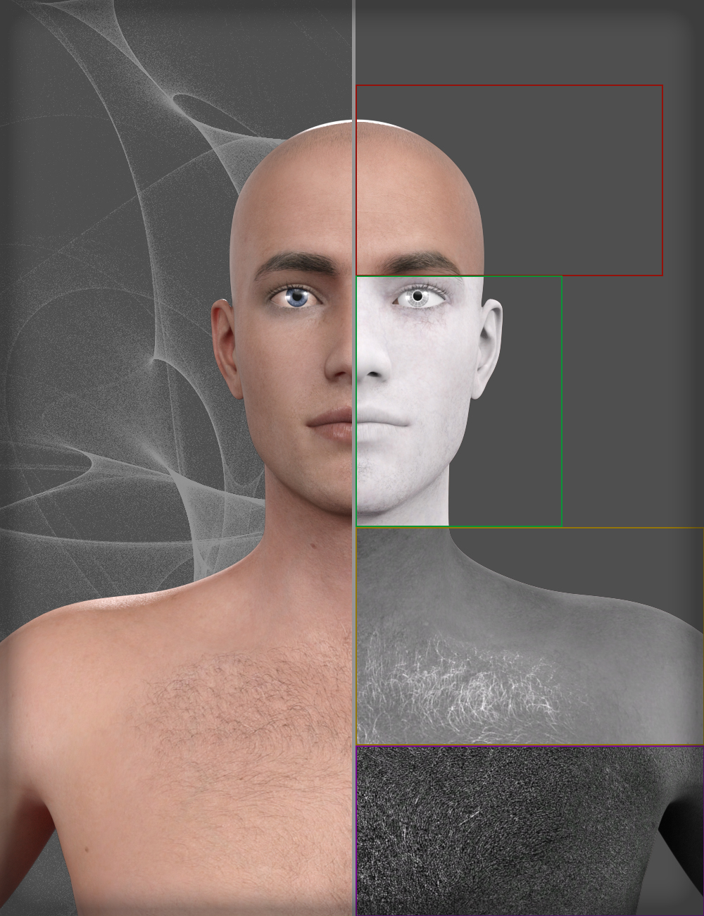 Map Master Pro | Daz 3D