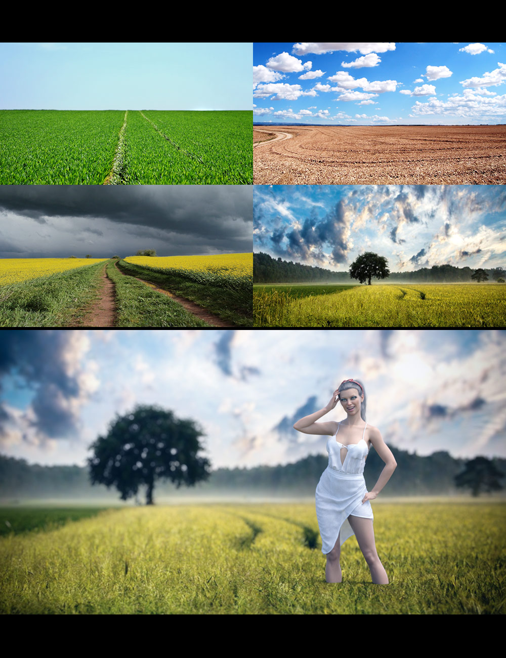 3D Photo Scenes - Magical Fields | Daz 3D