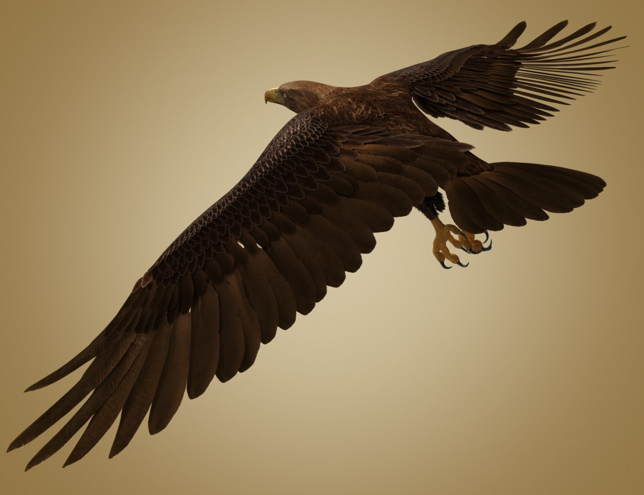 Deepsea's Eagle Aniblocks and Texture Add-On | Daz 3D