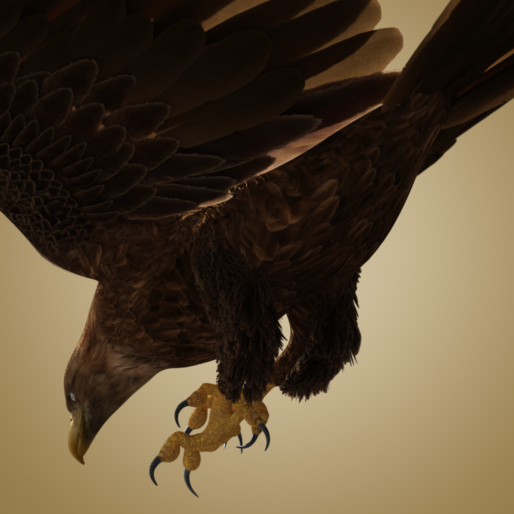 Deepsea's Eagle Aniblocks and Texture Add-On | Daz 3D