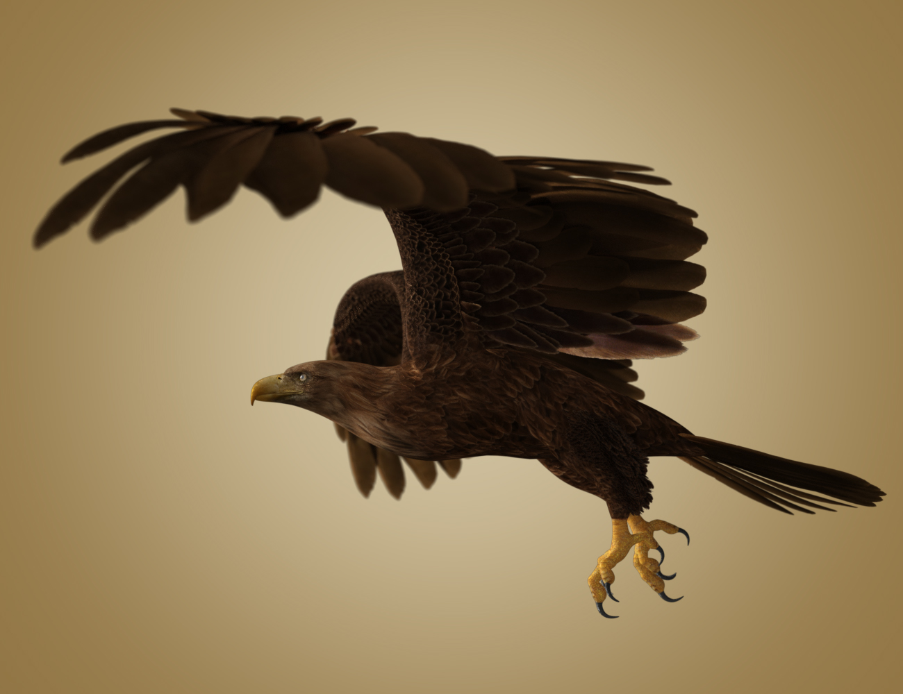 Deepsea's Eagle Aniblocks and Texture Add-On | Daz 3D