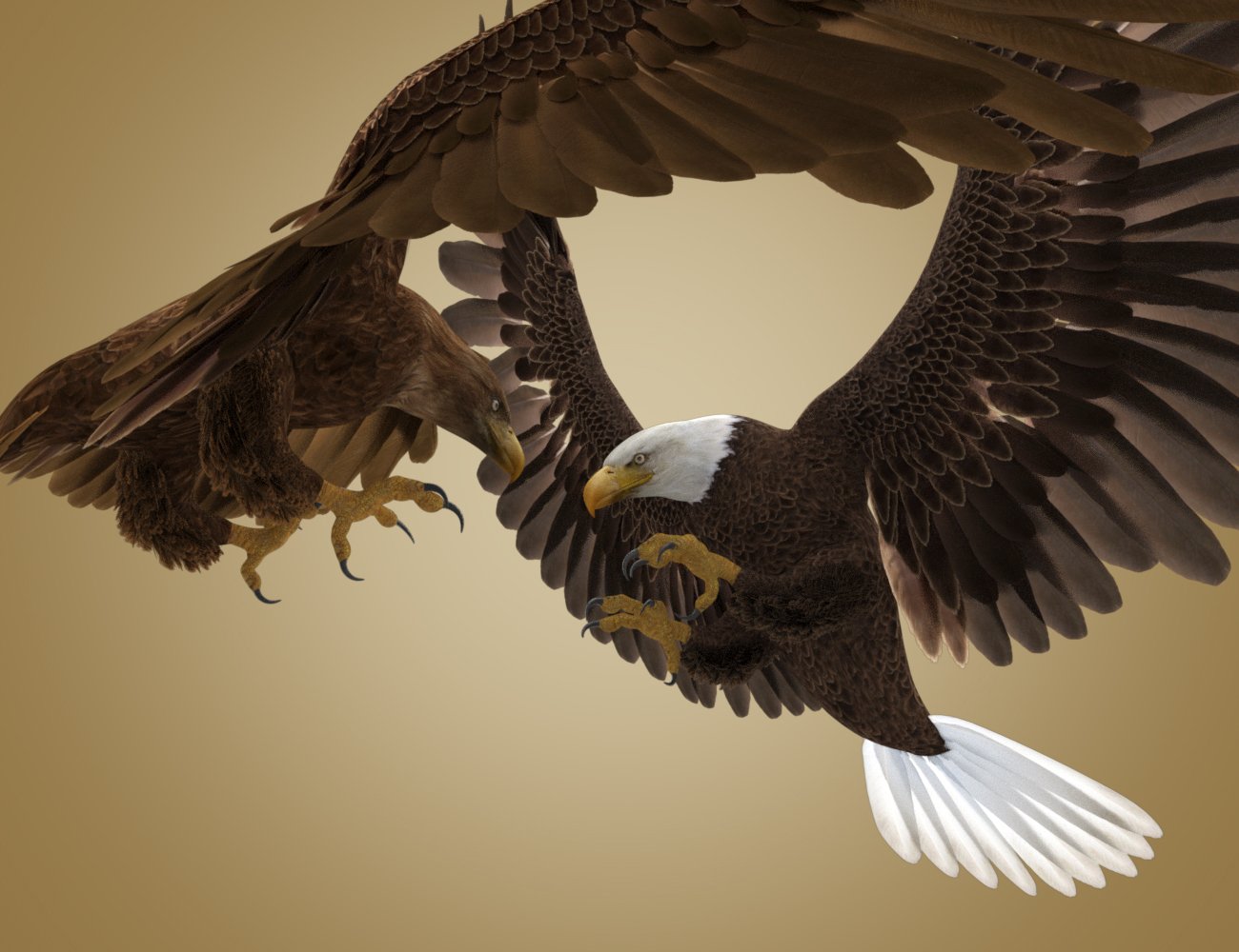 Deepsea's Eagle Aniblocks and Texture Add-On | Daz 3D