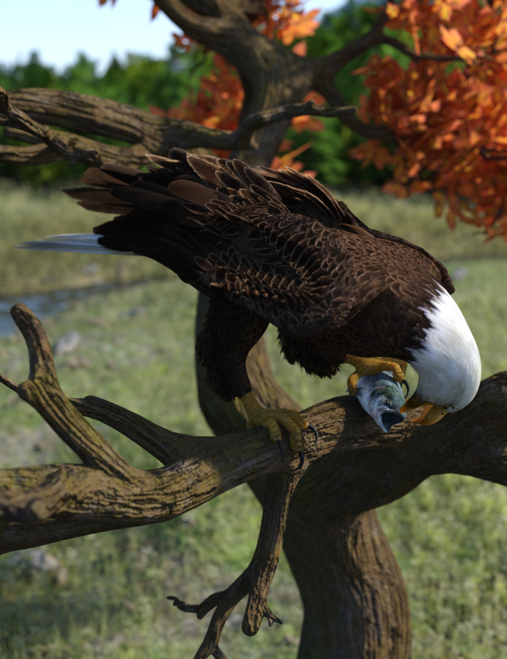 Deepsea's Eagle Poses and Fish | Daz 3D