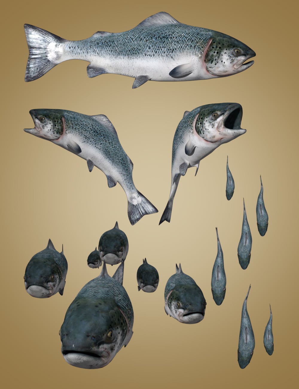 Deepsea's Eagle Poses and Fish | Daz 3D