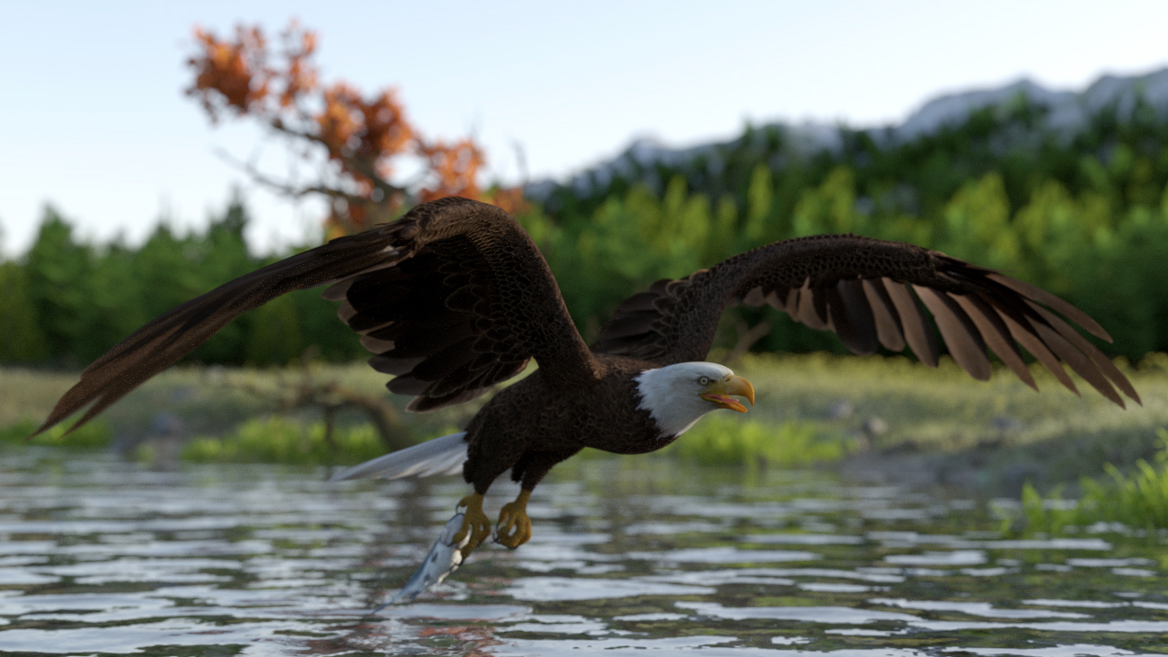 Deepsea's Eagle Bundle | Daz 3D