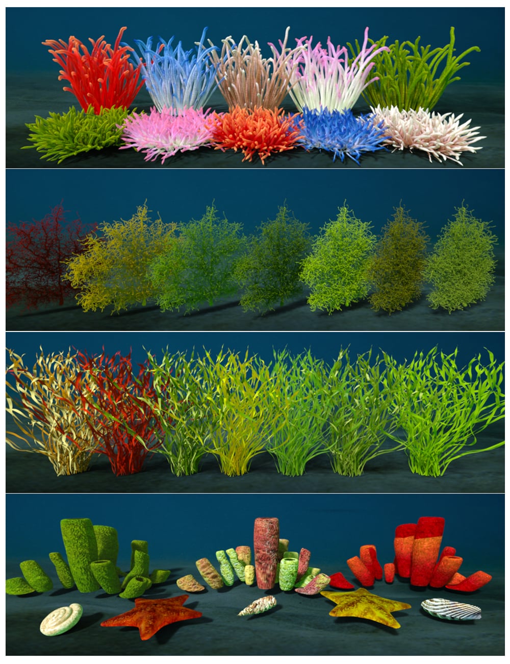 Ocean Wonders | Daz 3D