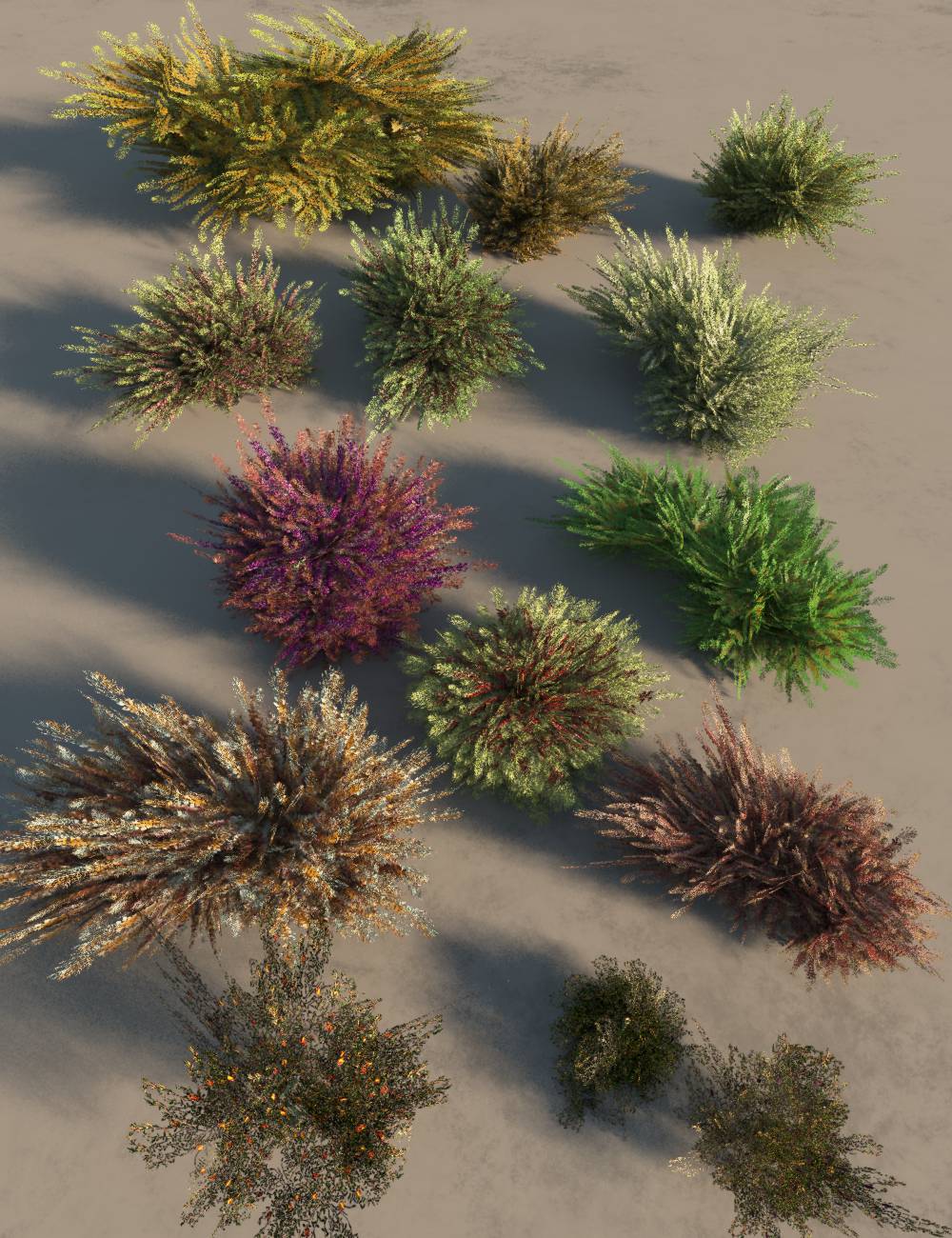 Heath and Moorland Plants and Ecosystems for Vue | Daz 3D Heath and Moorland Plants and Ecosystems for Vue | Daz 3D