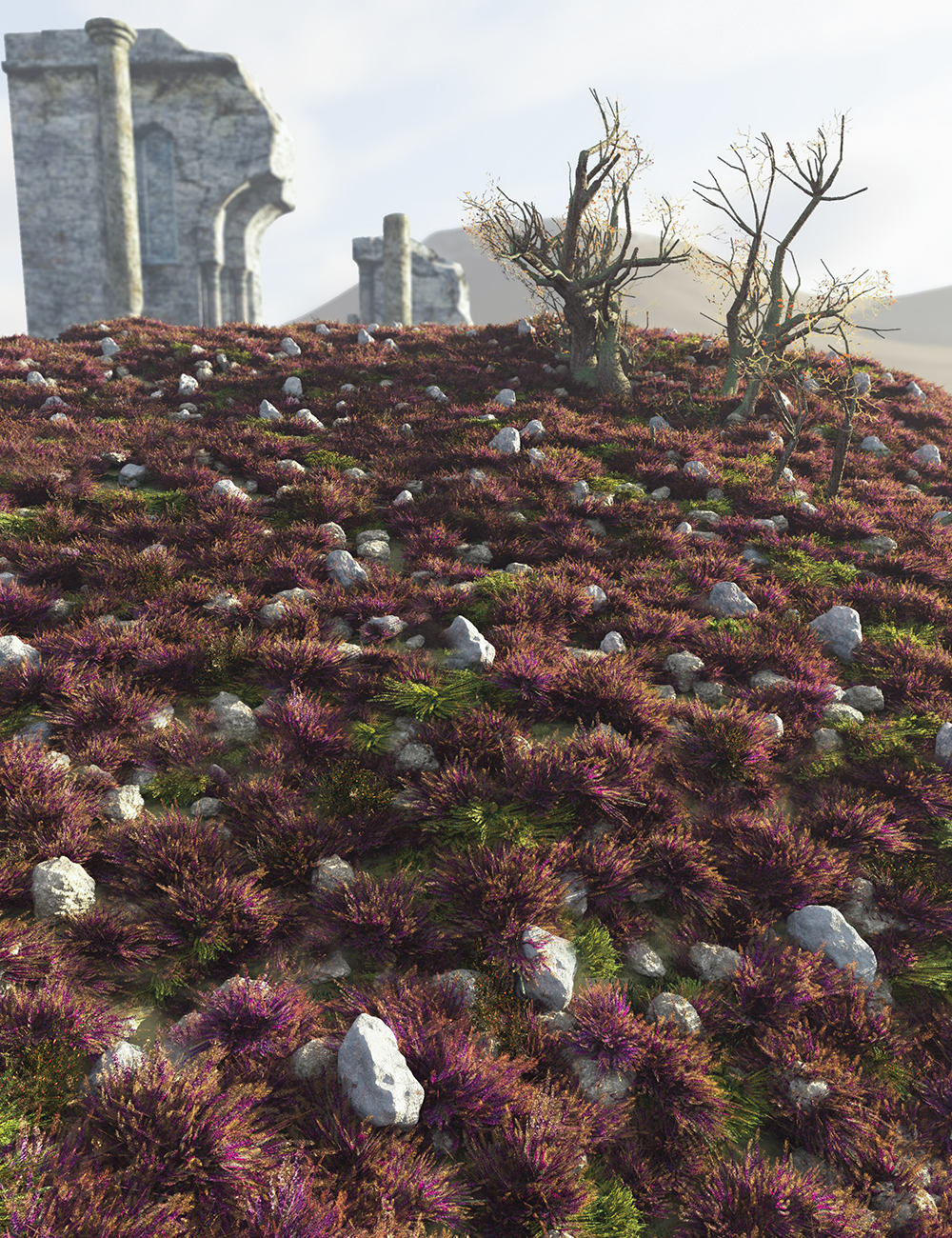 Heath and Moorland Plants and Ecosystems for Vue | Daz 3D Heath and Moorland Plants and Ecosystems for Vue | Daz 3D