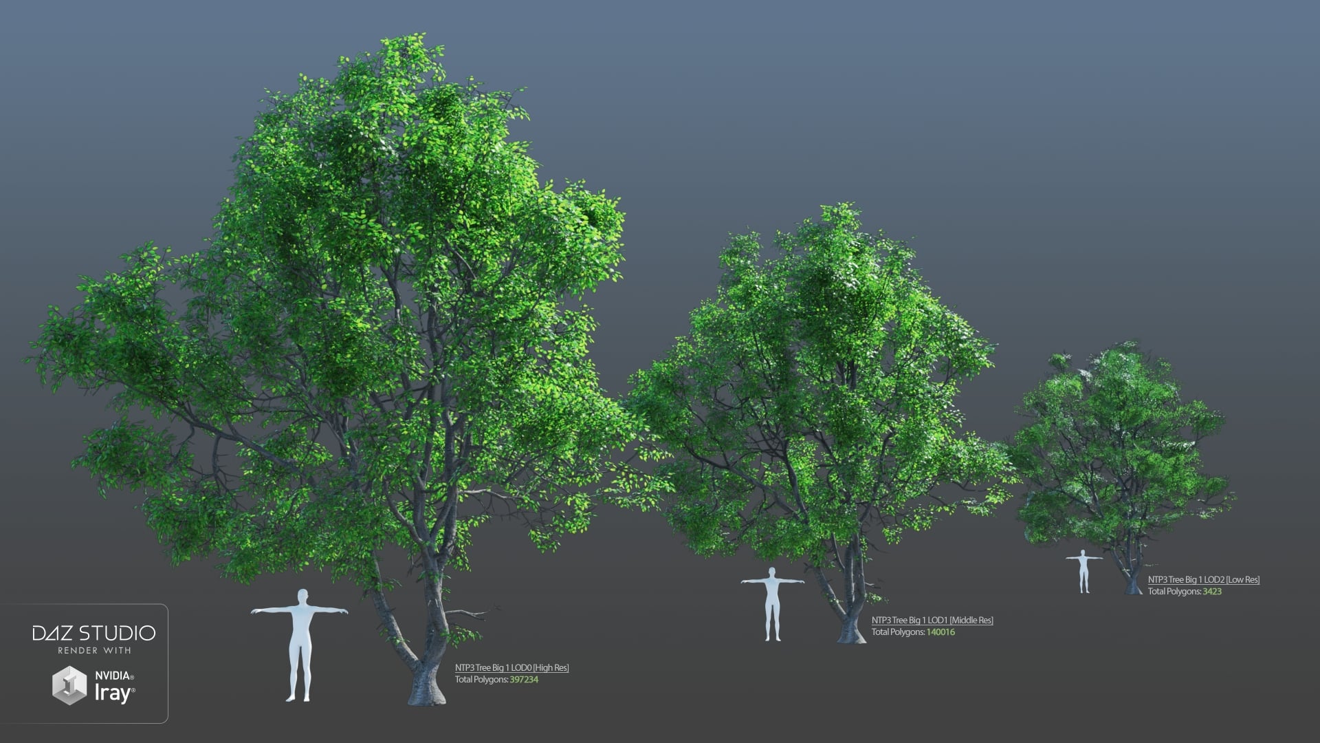 Nature Trees Pack 3 | Daz 3D