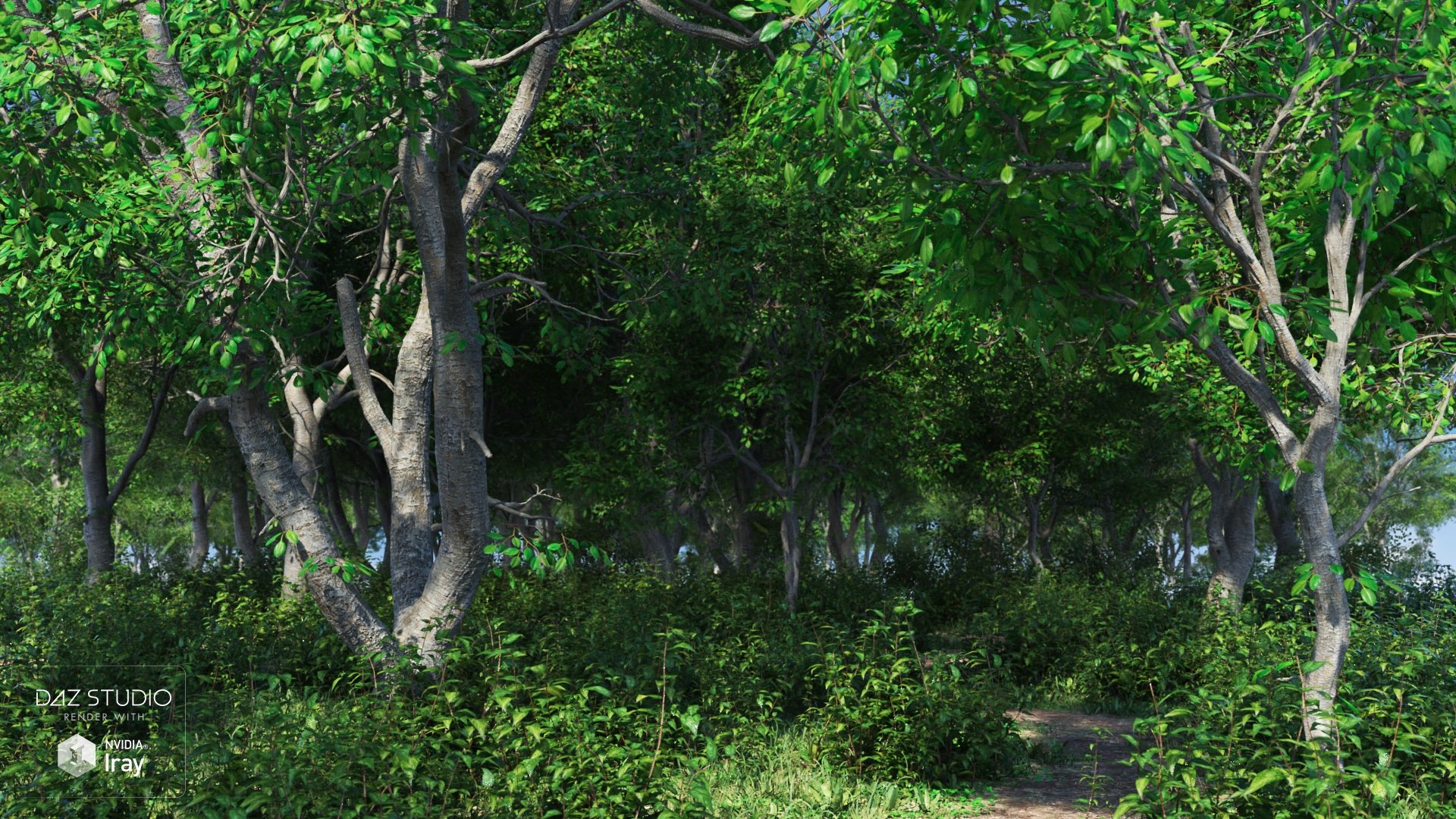Nature Trees Pack 3 | Daz 3D