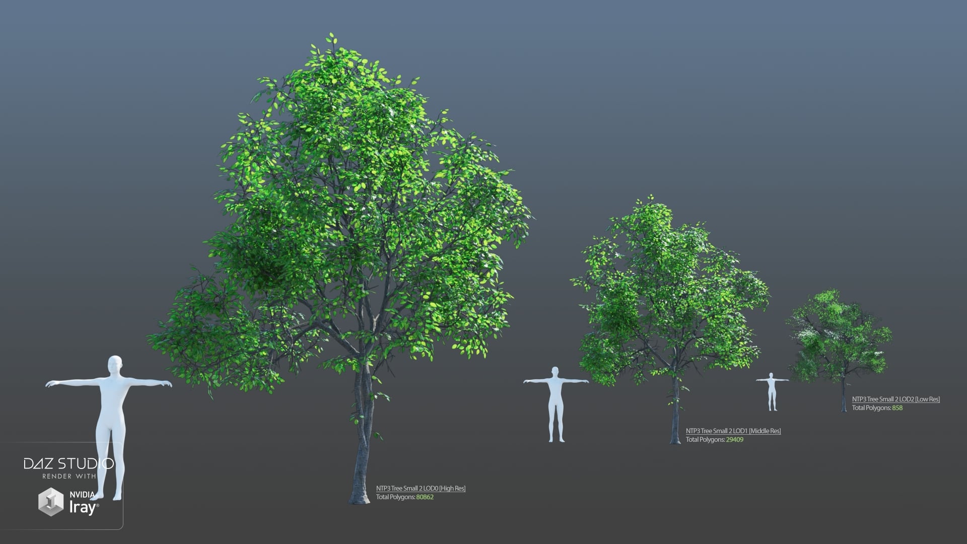 Nature Trees Pack 3 | Daz 3D