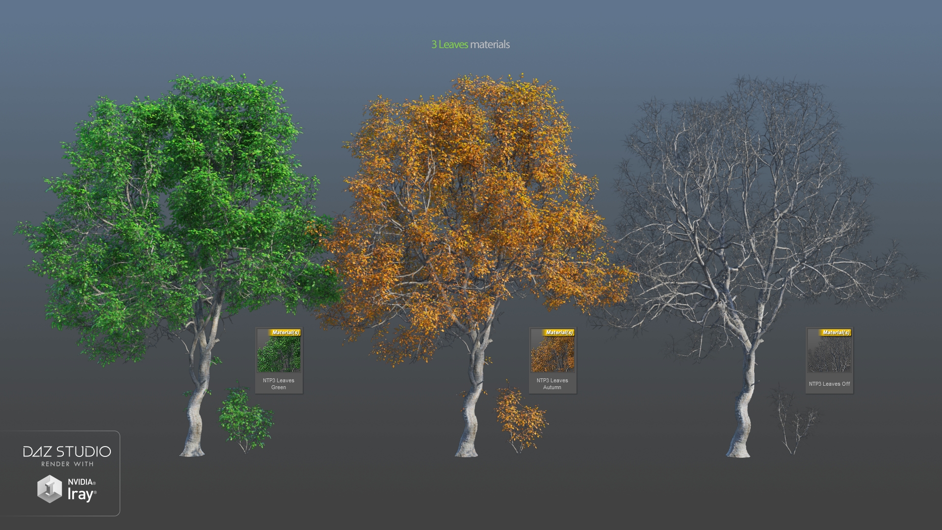 Nature Trees Pack 3 | Daz 3D