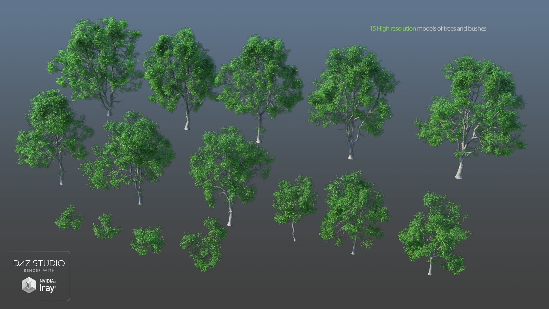 Nature Trees Pack 3 | Daz 3D