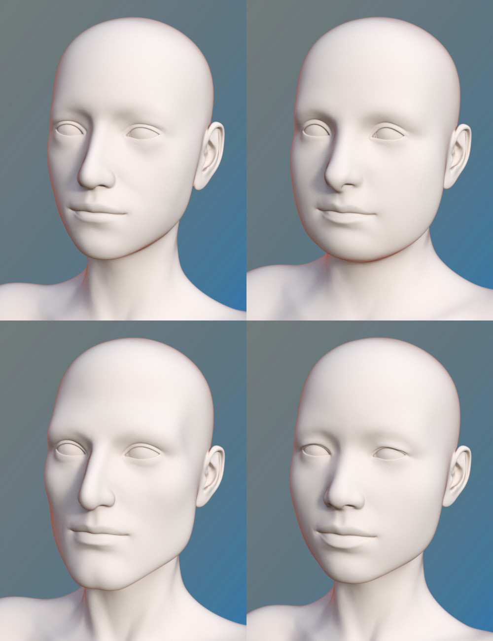 FSL Everyday People Shapes | Daz 3D