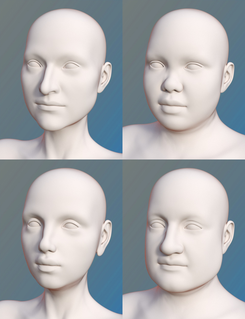 FSL Everyday People Shapes | Daz 3D
