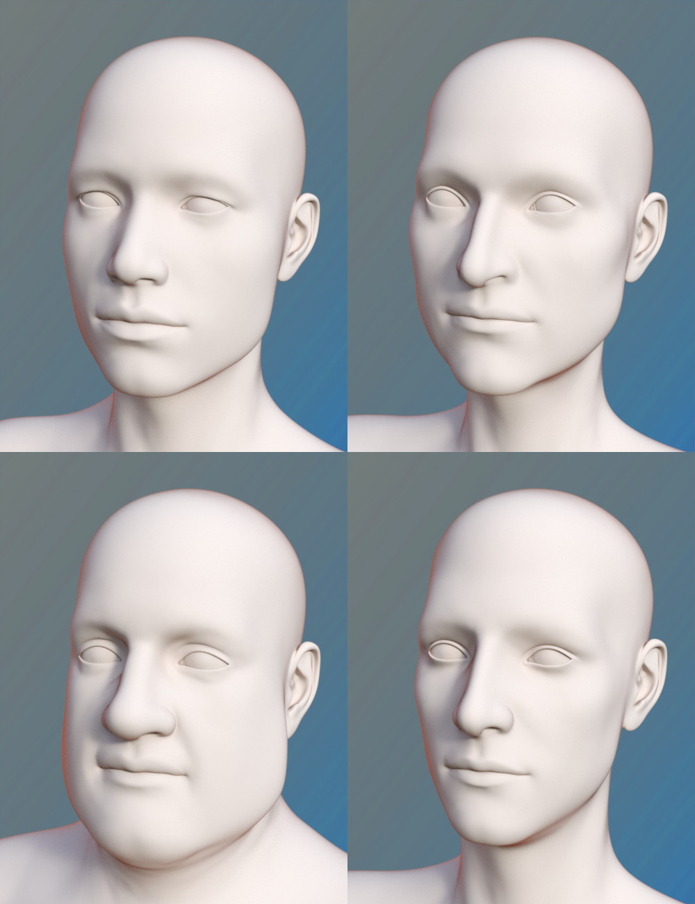 FSL Everyday People Shapes | Daz 3D