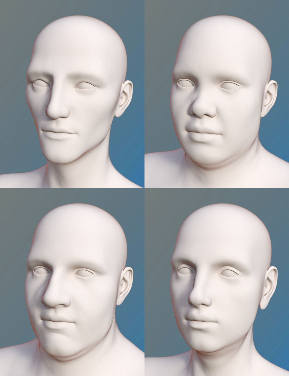FSL Everyday People Shapes | Daz 3D