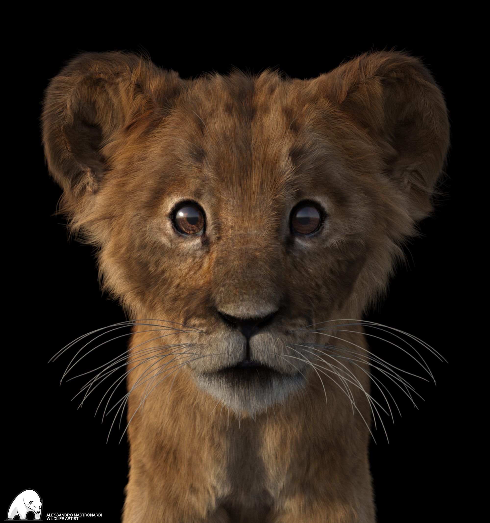 Felidae by AM - Kimbo the Lion Cub | Daz 3D