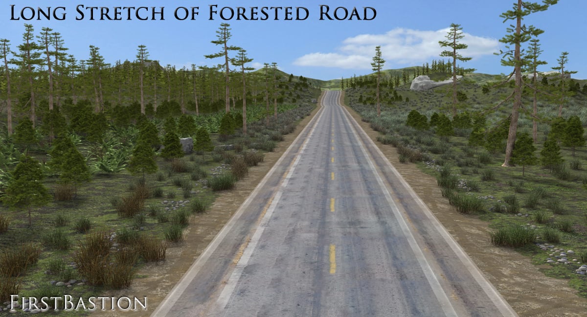 1stB-Long Stretch of Forested Road Add-On | Daz 3D
