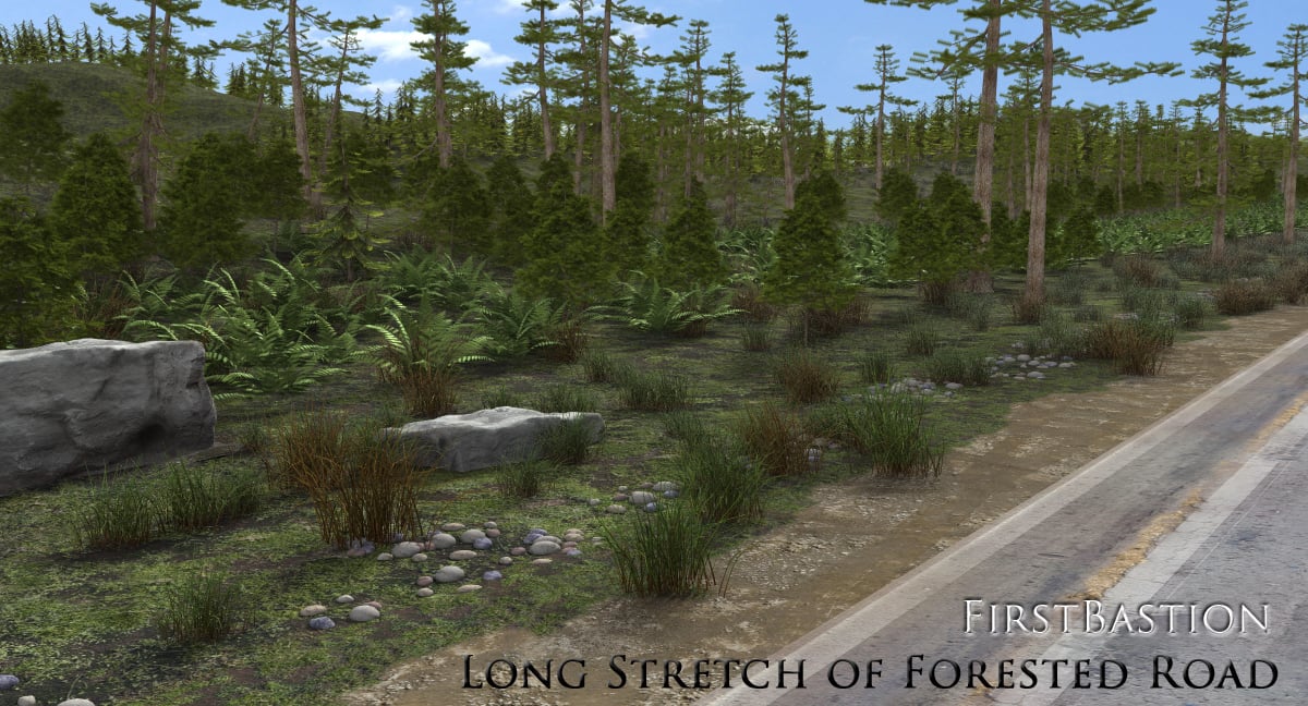 1stB-Long Stretch of Forested Road Add-On | Daz 3D
