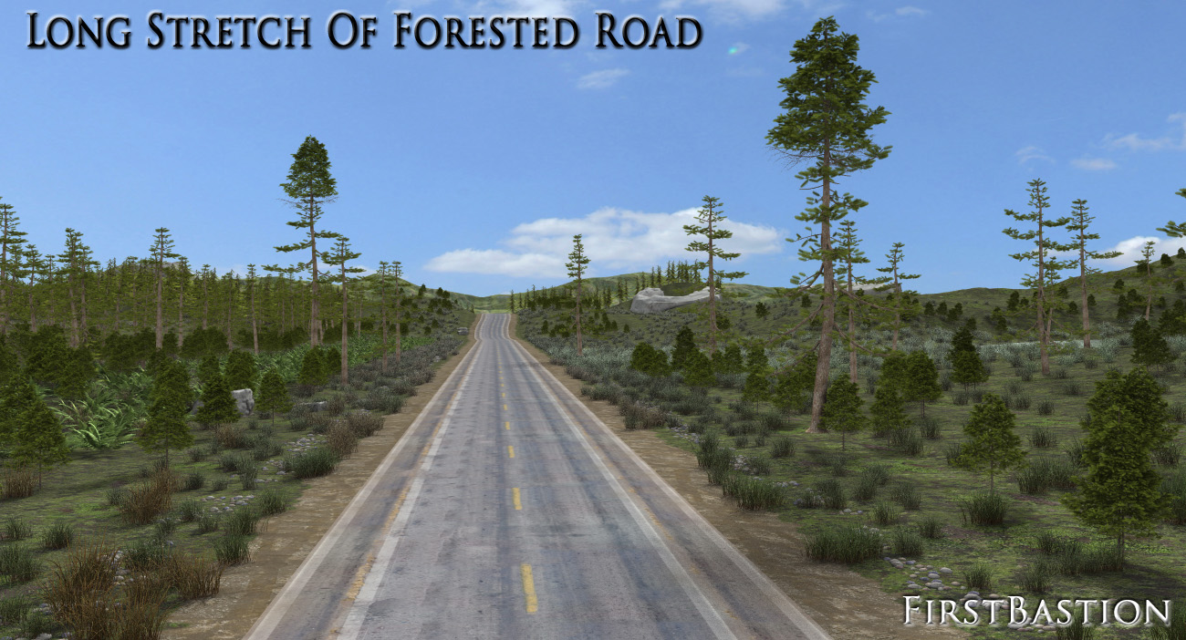 1stB-Long Stretch of Forested Road Add-On | Daz 3D