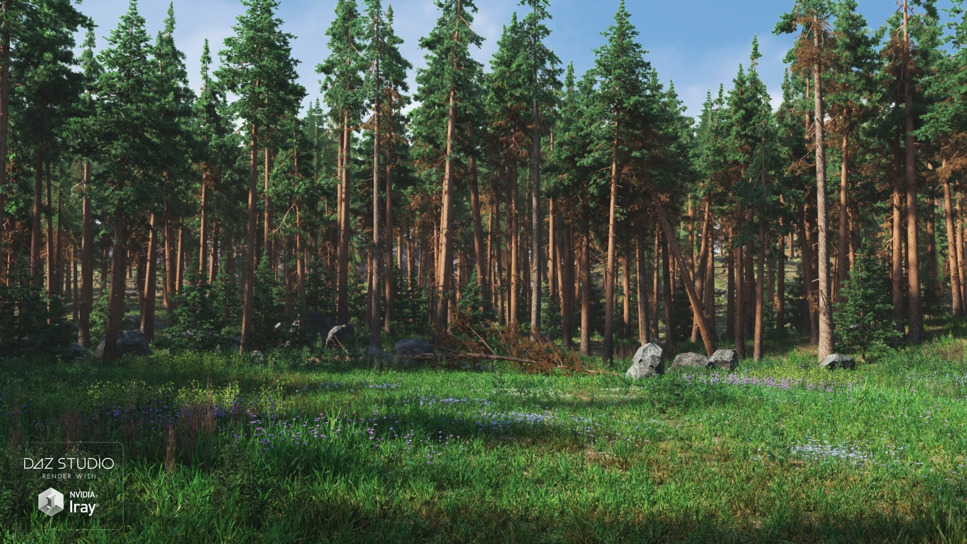 Forest Glade | Daz 3D