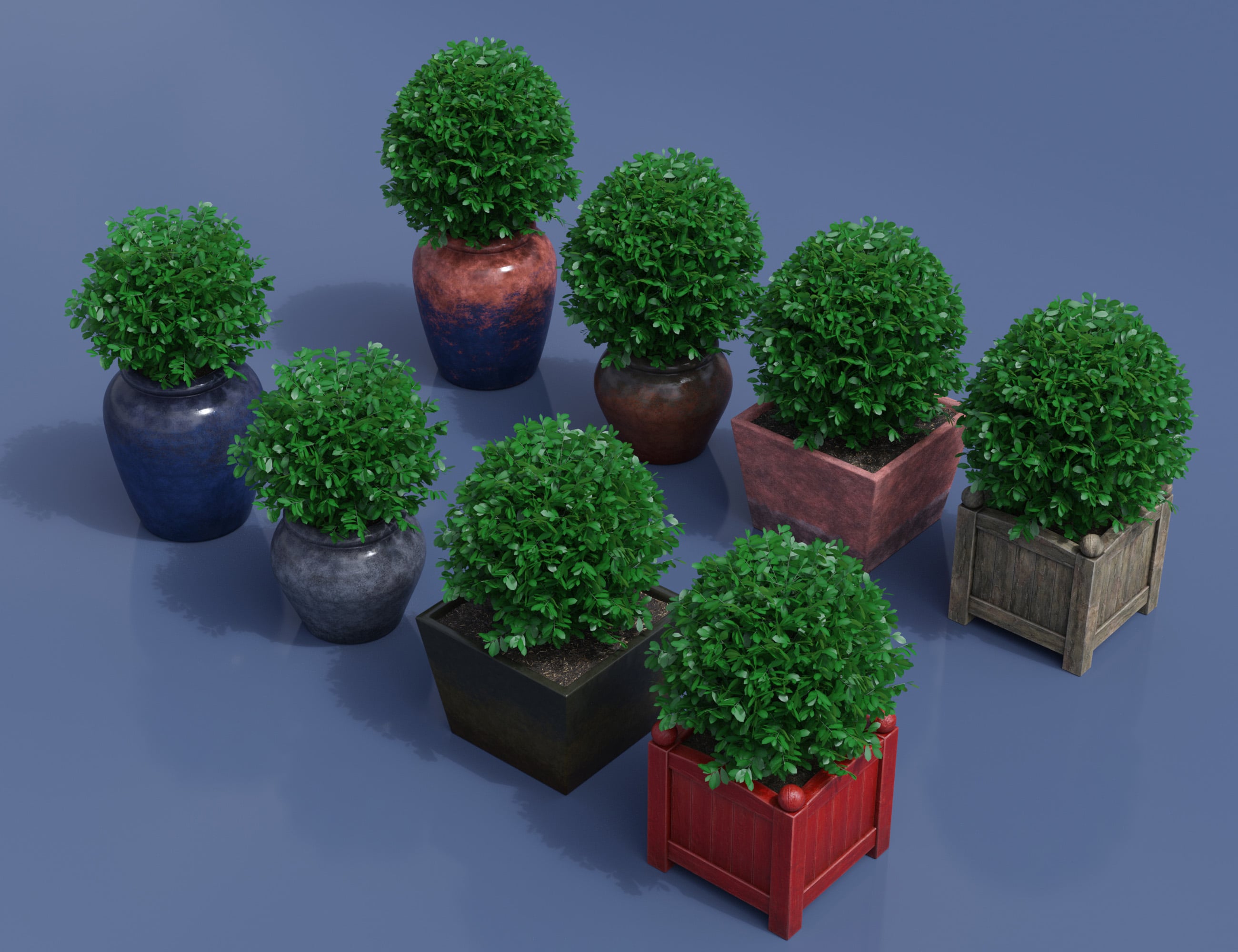 Predatron Ornamental Trees and Bushes | Daz 3D
