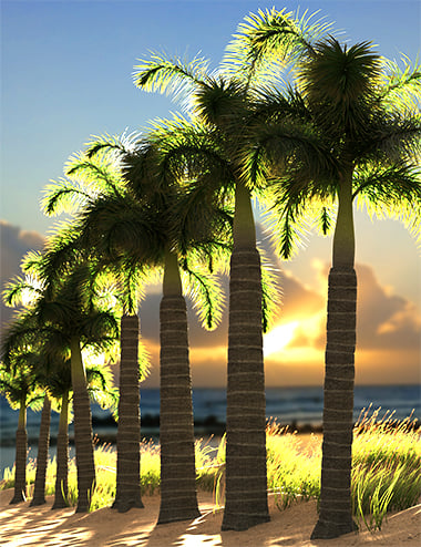 Predatron Foxtail Palm Trees | Daz 3D