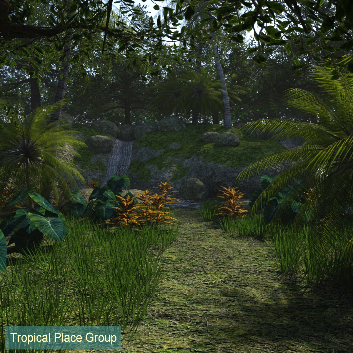 Tropical Place | Daz 3D