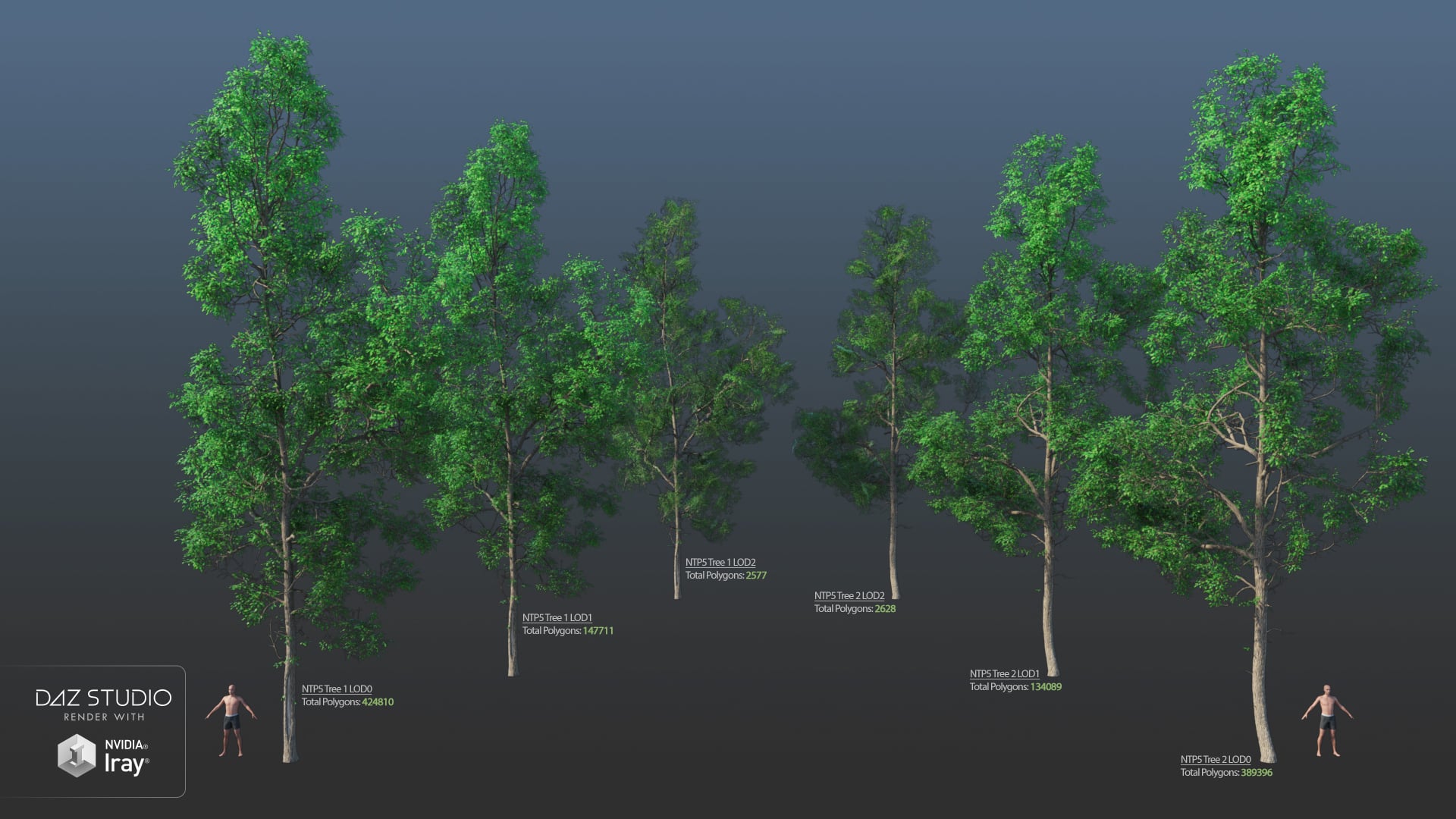 Nature Trees Pack 5 | Daz 3D