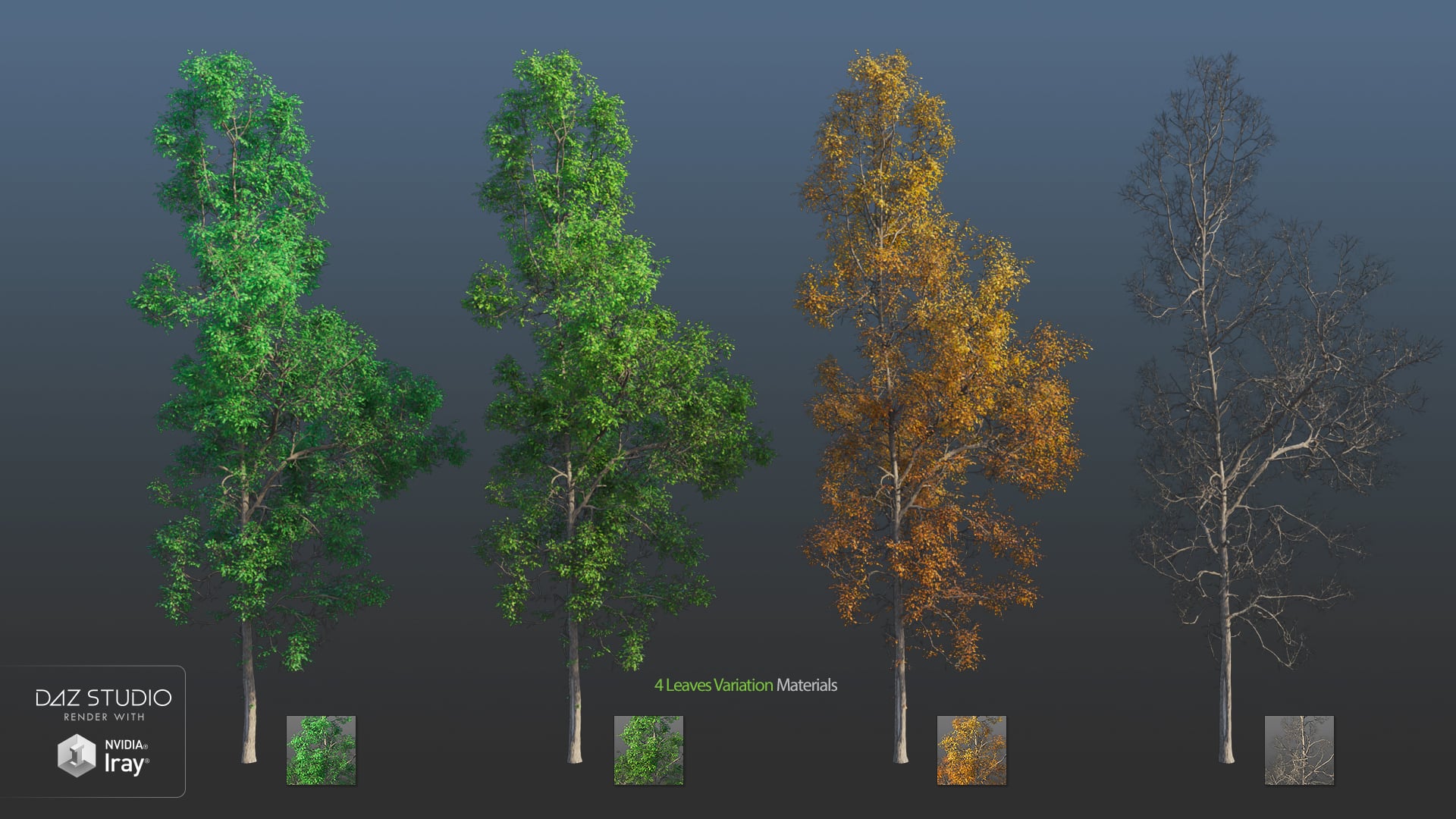 Nature Trees Pack 5 | Daz 3D