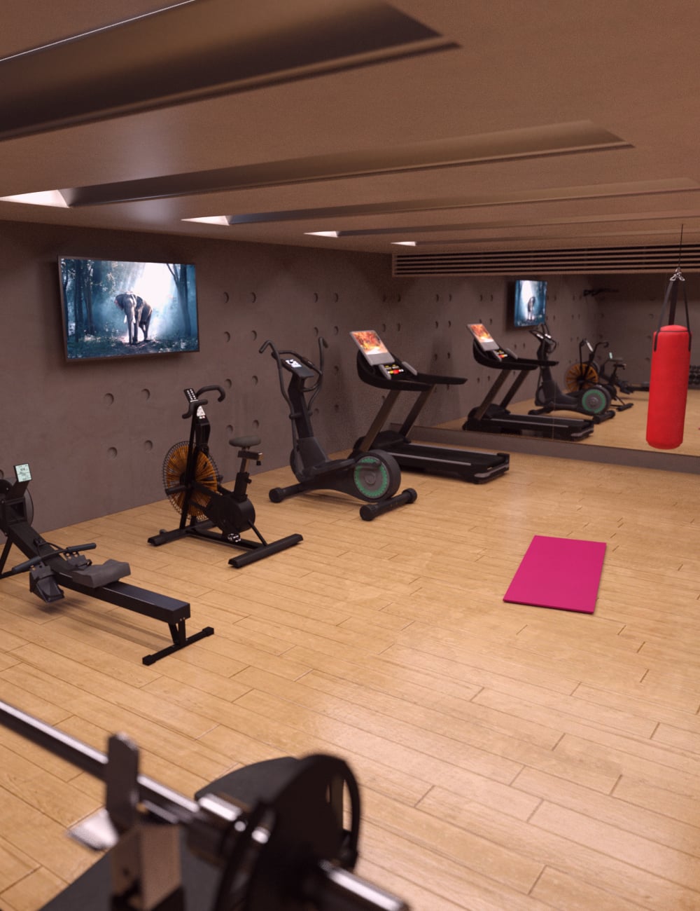 The Sweat It Out Fitness Bundle | Daz 3D