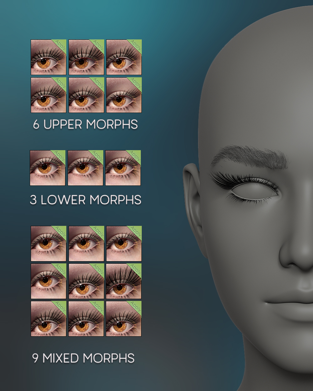 TM Everyday Lashes MR for Genesis 8.1 Female | Daz 3D