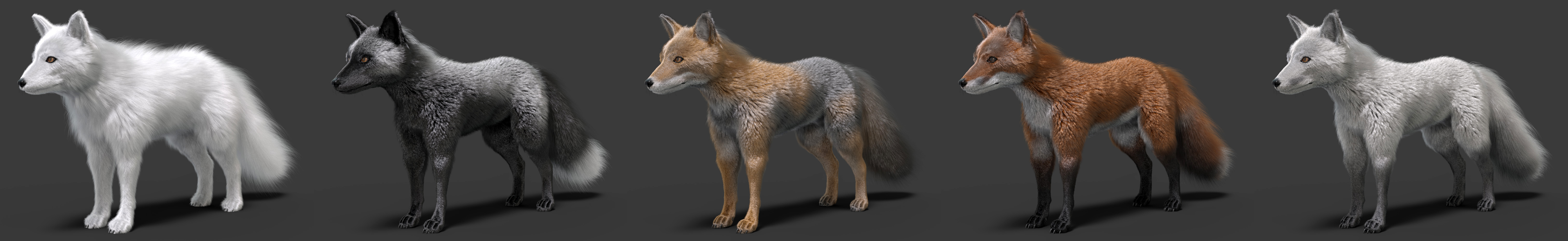 Oso Fox for Daz Dog 8 with dForce Hair | Daz 3D