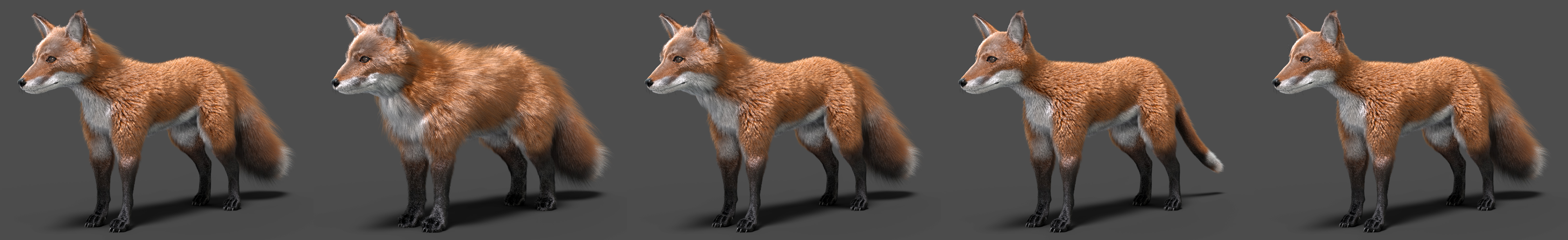 Oso Fox for Daz Dog 8 with dForce Hair | Daz 3D