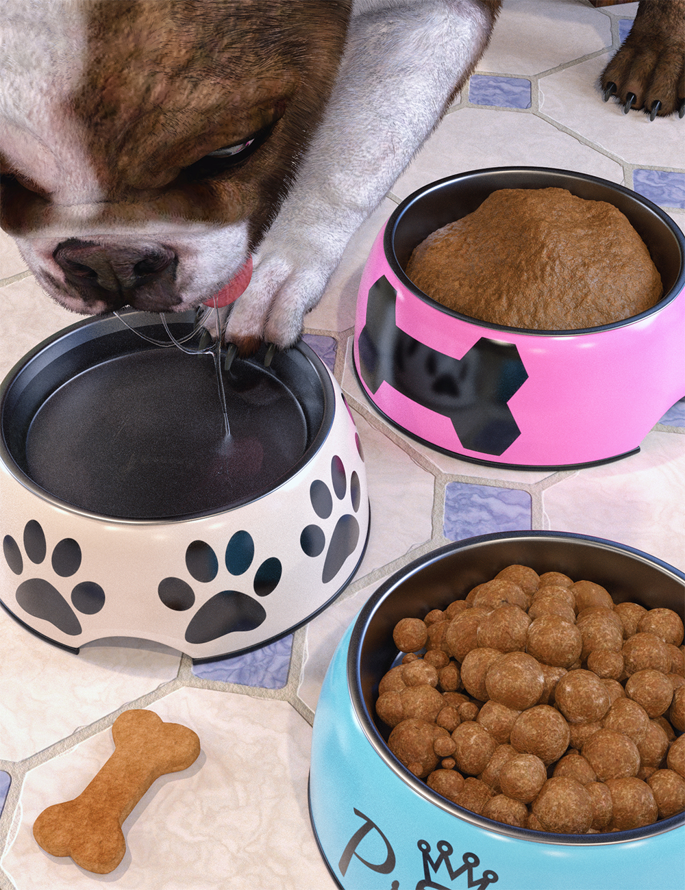 Dog Bowl Props | Daz 3D
