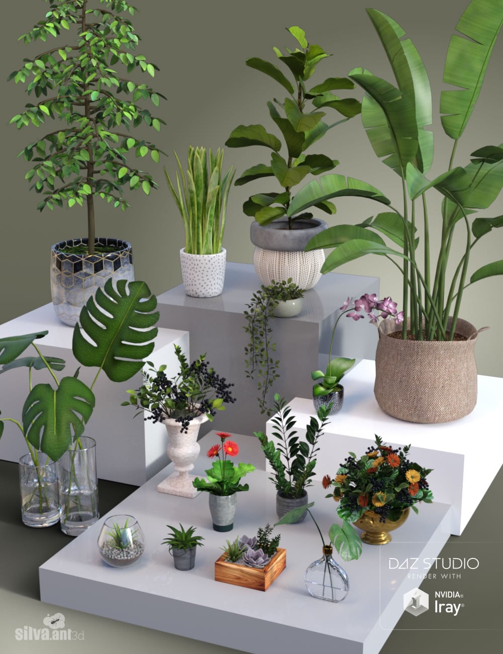 Collections Bundle | Daz 3D