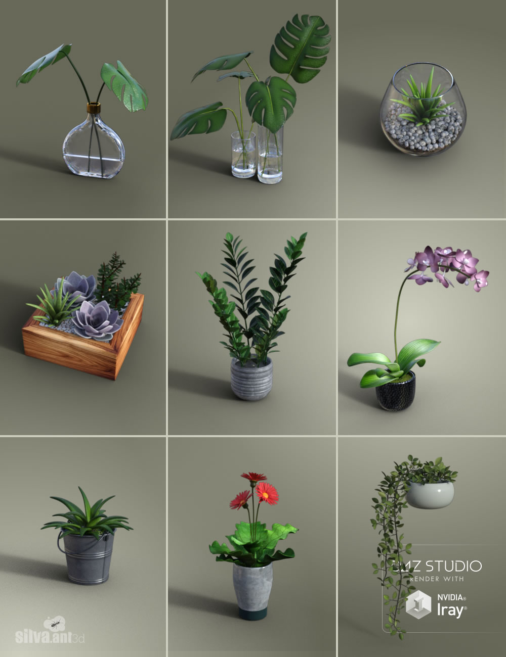 Collections Bundle | Daz 3D