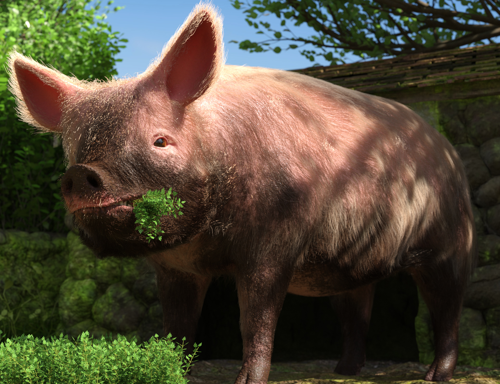 LoREZ Pig 2 | Daz 3D