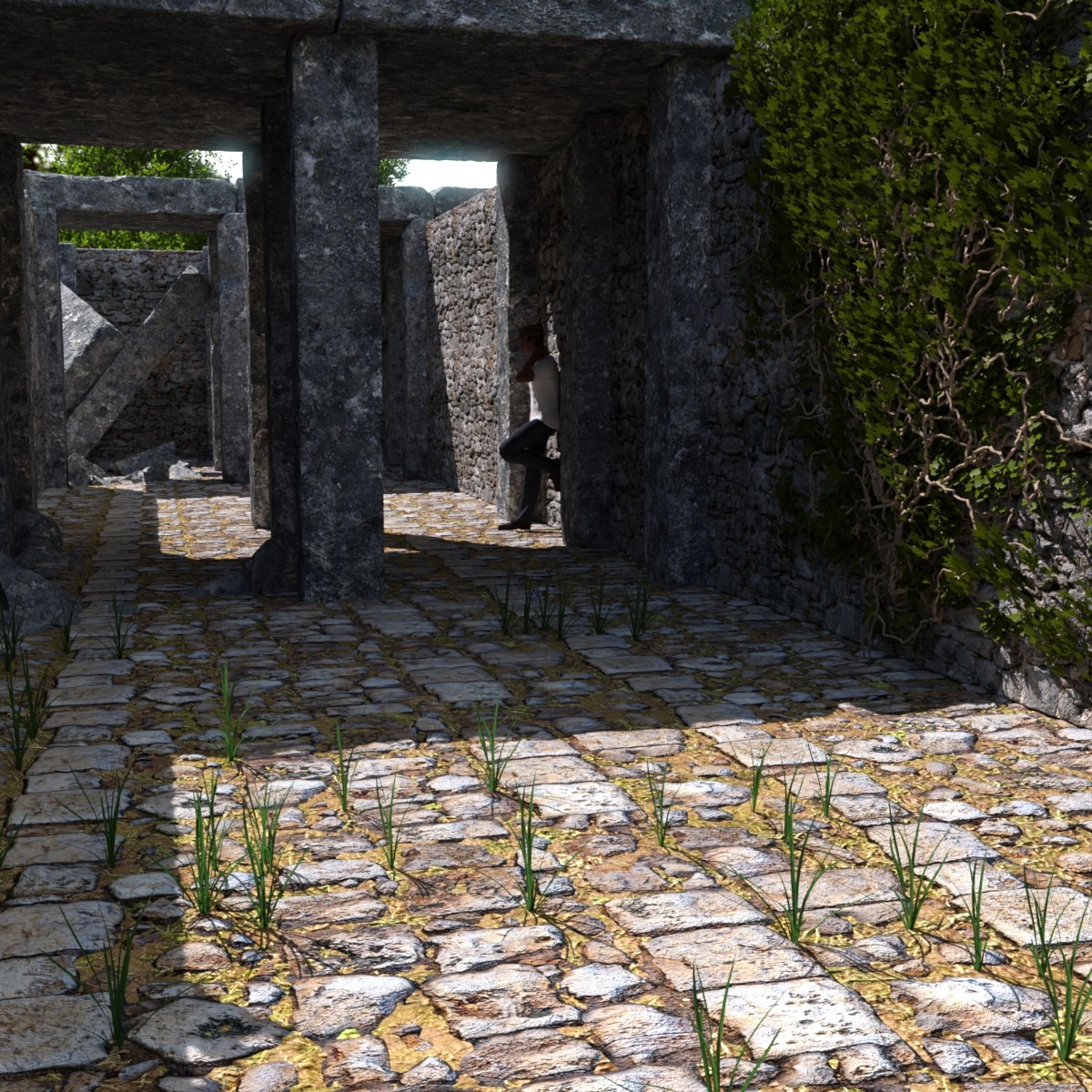 Path Between Walls | Daz 3D